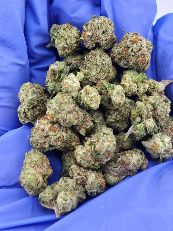 Pablo's Revenge Smalls – High Life